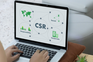 Responsabilité Sociétale des Entreprises (RSE) La démarche - les normes ...